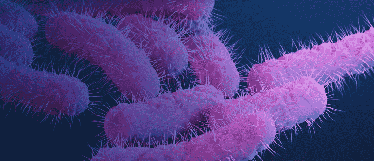 Flora intestinal | Los habitantes de tu intestino